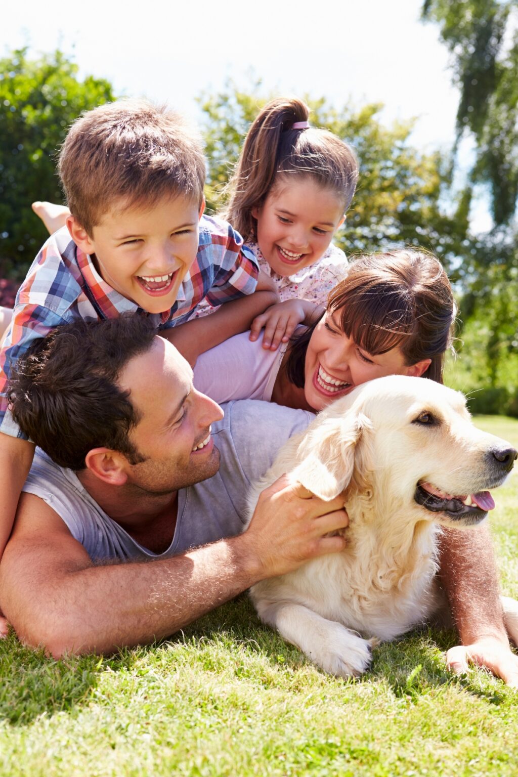 12 Simple Tips to Keep Your Pets Healthy and Happy - Hip Mama's Place