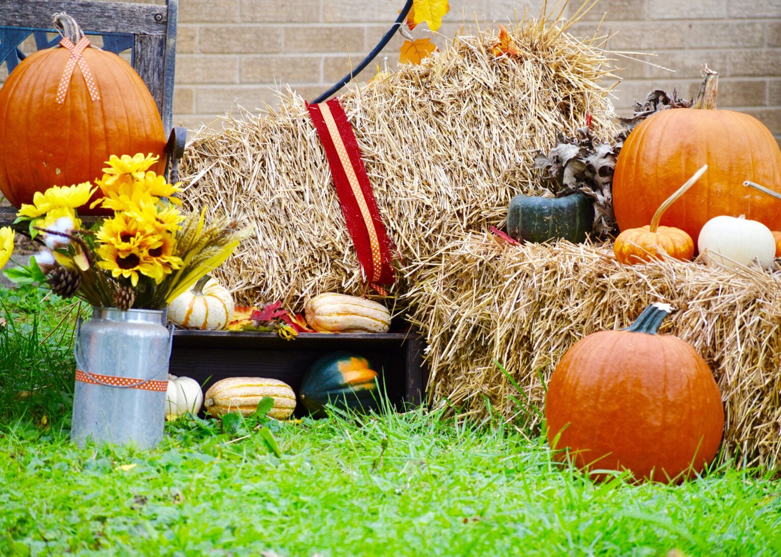 21 Joyful Fall Family Traditions to Embrace the Season - Hip Mama's Place